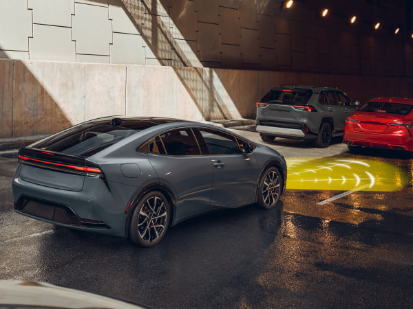 Connected Analytic Services